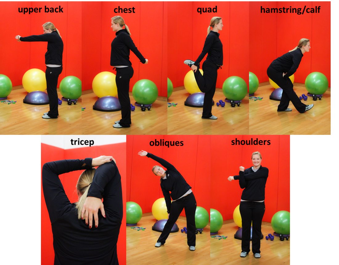 Free Workout Friday: Components of a Cool Down